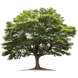 Evan Bittel Obituary (1984 - 2025) - Boston, Massachusetts